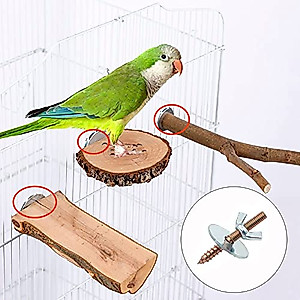 Bird Cage Screws Bird Perch Screws Bird Stand Platform Accessories 20 Washers 10 Screws 10 Wing Nuts 1 Drill Tool Hardware for Fixing Bird Playground Perch Food Bowls Feeder Breeding Box (10 Sets)