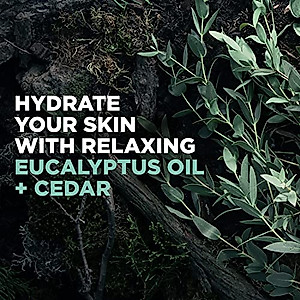 Dove Men+Care Body Wash for a refreshing shower experience Eucalyptus Cedar Body Wash for Men, 18 Fl Oz (Pack of 4)