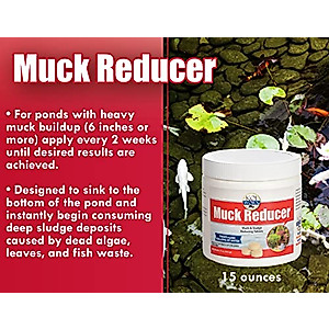 KoiWorx Muck Reducer, 145 Tablets Treats up to 6,000 Gallons of Water, Beneficial Bacteria Reduces Muck, Sludge and Organic Build up, Formulated for Ponds, Water Features and Safe for Koi