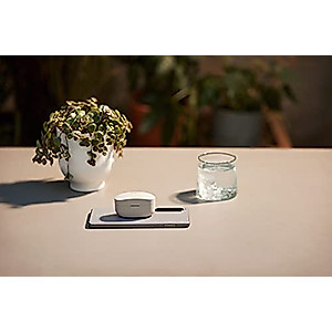 Sony Truly Wireless Noise Cancelling Headphone - Optimised for Alexa and Google Assistant - with Built-in mic for Calls - Bluetooth Connection - WF-1000XM4S.CE7 - Limited Edition - Silver/Gold