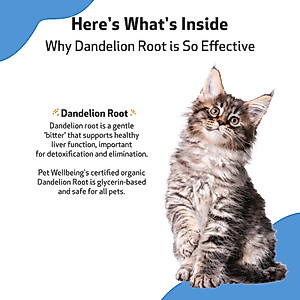 Pet Wellbeing Dandelion Root for Cats - Liver & Heart Health, Digestive Function, Blood Sugar Support, Certified Organic - Veterinarian-Formulated Herbal Supplement 2 oz (59 ml)