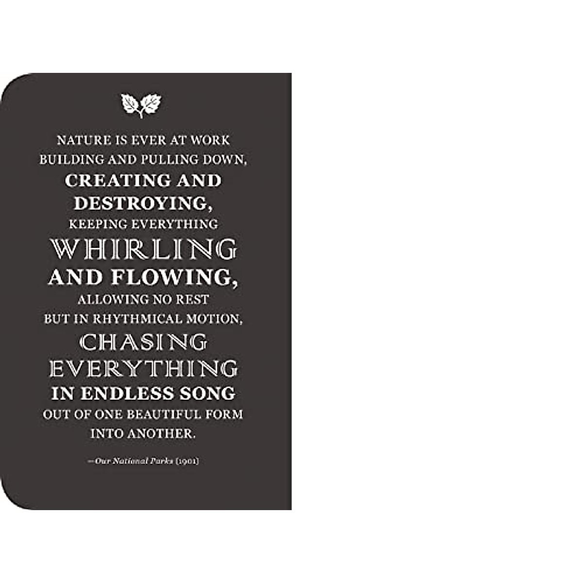 The John Muir Signature Notebook: An Inspiring Notebook for Curious Minds (6) (The Signature Notebook Series)