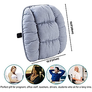 Big Hippo Lumbar Support Back Cushion and Seat Cushion for Car Seat or Office Chair(Gray)