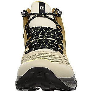 Salomon L4146120012 Predict Hike Mid GTX Cumin/Safari 12 Men's