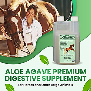 Original Udder Balm Doc Hoag’s Aloe Vera+Agave Premium Horse Supplement for Gut Health, Natural Equine Gastric Support & Stress Relief, Support Ulcer Improvement for Horses and Other Large Animals