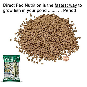 Pond Fish Food Giant Fish Grower Fish Food Aquatic Nutrition 20 lb