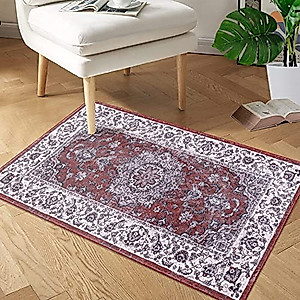 CAROMIO Entryway Small Area Rug Waterproof Non-Shedding Medallion Area Rug Low-Pile Distressed Carpet Machine Washable Rug for Hallway Dining Room, 2' x 3' Red