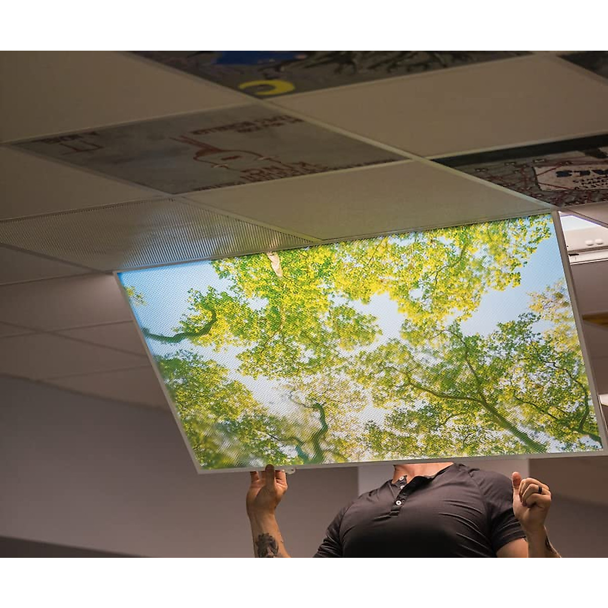 ShadeMAGIC - 4 Pack - Fluorescent Light Covers - 2x4 Film Insert for Ceiling Light Diffuser Panels - Tree Design - Classrooms and Offices - Decorative Lighting