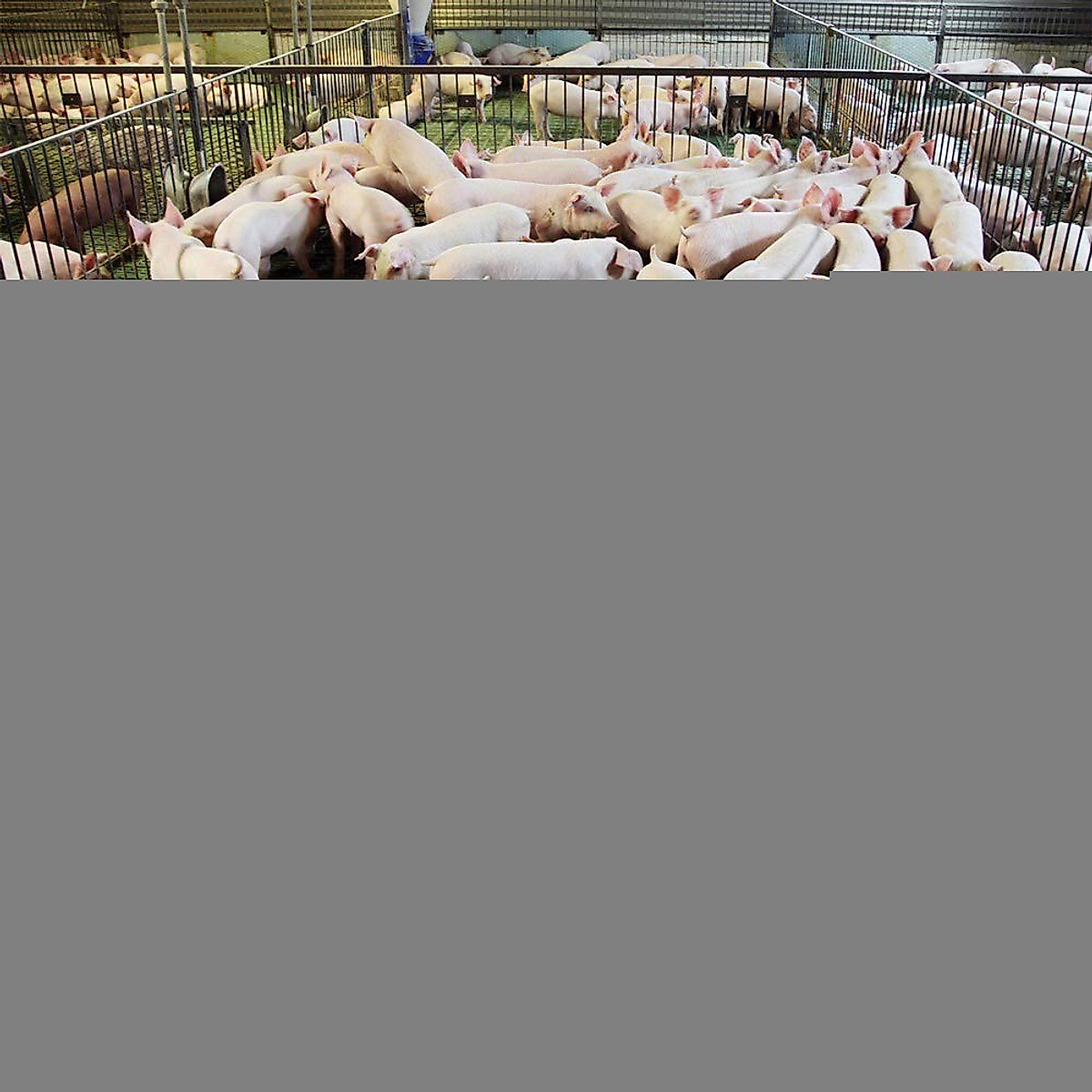 0.2%-2% Adjustable Fertilizer Injector, Automatic Dosing Device Irrigation Injector Chemical Liquid Doser Dispenser Dosatron Injector Powered by Water Dosing Pump for Garden