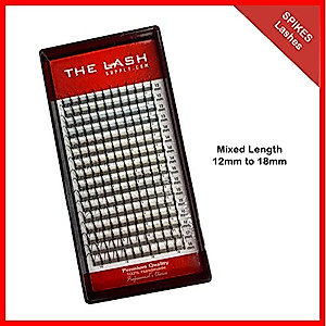 THE LASH SUPPLY Spikes Eyelash Extension Professional Supplies, C/D Curl, 10-18mm Length, 0.07 Thickness, 16 Lines of Matte Black Fake Eye Lashes, Soft and Lightweight Lashes Mixed Pack