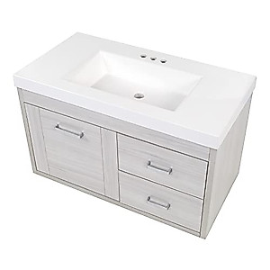 Spring Mill Cabinets Marlowe Bathroom Vanity with Sink, 36.5" W x 18.75" D x 22.5" H, Elm Sky