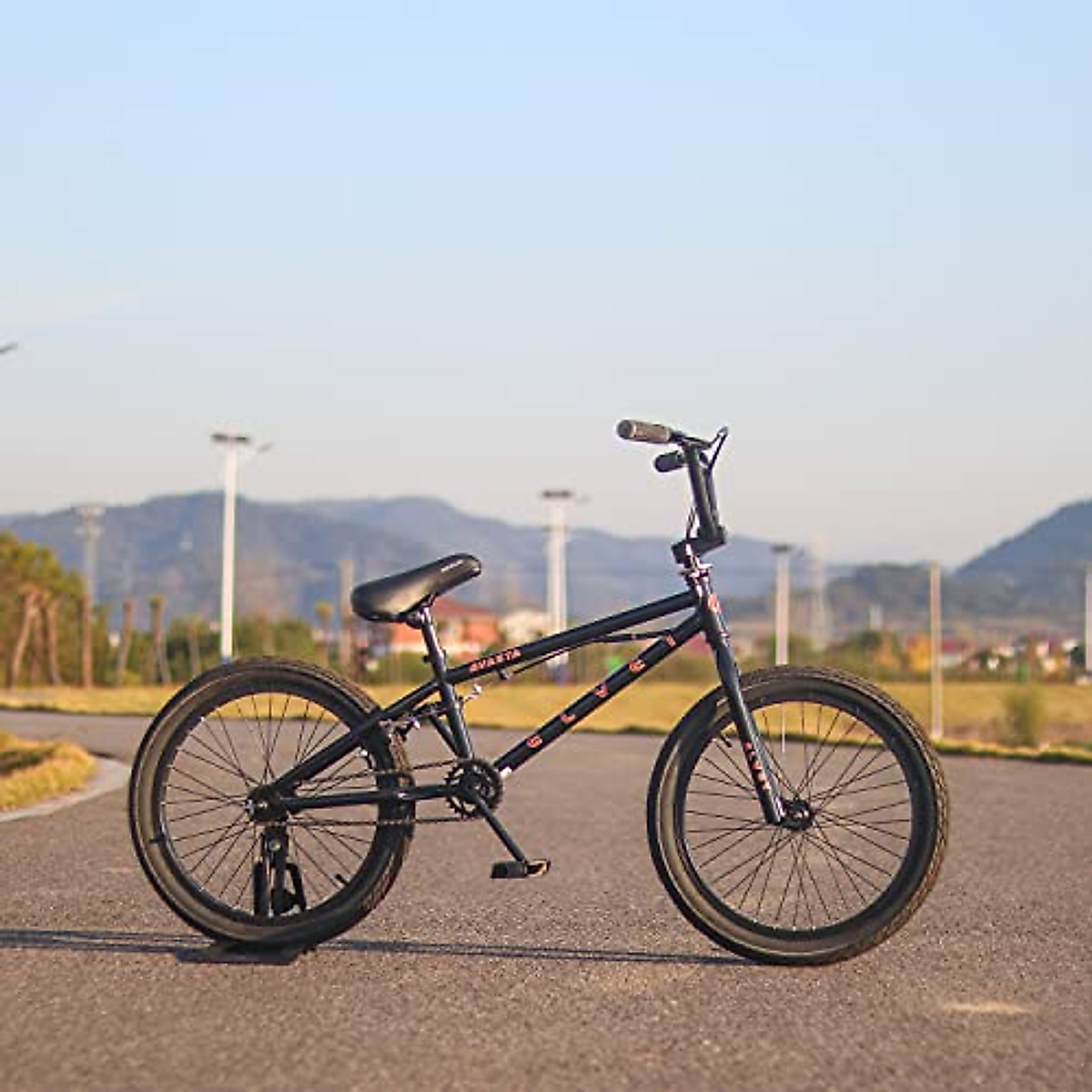 AVASTA Kids Bike 20 Inch BMX Freestyle Bicycle for 6 7 8 9 10 11 12 13 14 Years Old Boys, Freewheel Kids Bike with 360 Gyro Rotor/4 Pegs/Handbrake/Rear U-Brake, Black Red