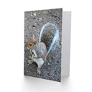 Wee Blue Coo CARD GREETING BIRTHDAY LITTLE SQUIRREL GIFT