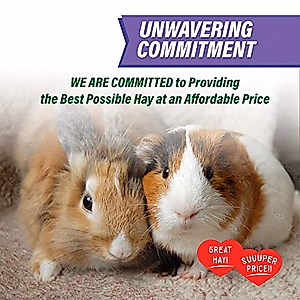 Small Pet Select - Value Choice Timothy Hay, 8lb