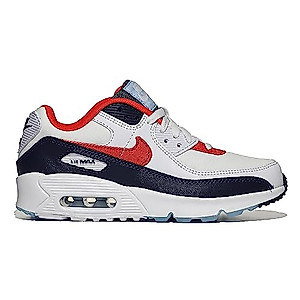 Nike Air Max 90 (Big Kid)