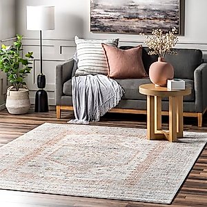 nuLOOM Jacquie Vintage Floral Area Rug - 10x14 Area Rug Transitional Silver/Ivory Rugs for Living Room Bedroom Dining Room Kitchen