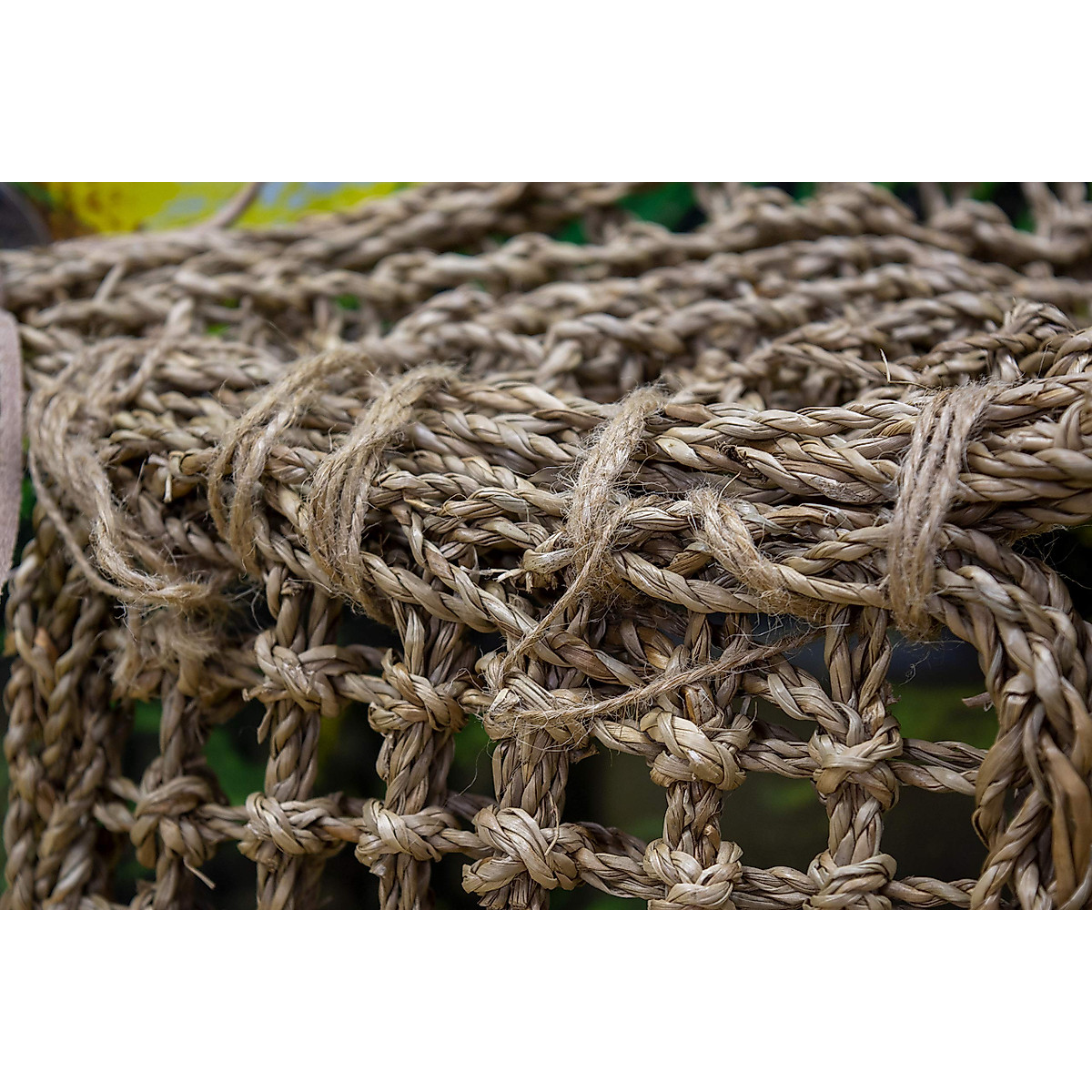 PENN-PLAX Reptology Lizard Lounger Corner Triangle with Ladder– 100% Natural Seagrass Fiber – Great for Bearded Dragons, Anoles, Geckos, and Other Reptiles – Large