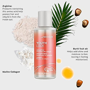 Joico YouthLock Shampoo Formulated With Collagen | Youthful Body & Bounce | Reduce Breakage & Frizz | Soften & Detangle Hair | Boost Shine | Sulfate Free | With Arginine | 1.7 Fl Oz