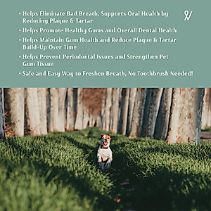 Everpath 2024 Upgraded Pet Fresh Breath Spray - 8 Fluid Ounces/236mls | Made in The USA | Enhances Dental and Gum Wellness | Supports Oral Care and Control Bad Breath | Natural Solution for Pets