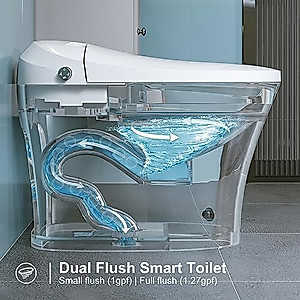 HOROW Smart Toilet with Heated Bidet, Instant Warm Water, Pre-Wet, Tankless Toilet with Dual Flush System 1/1.27 GPF