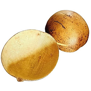 Jícara de Santería Auténtica para Ofrendas y Ritualidades Sagrados