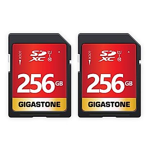 Gigastone 256GB 2-Pack SD Card UHS-I U1 Class 10 SDXC Memory Card High Speed Full HD Video Canon Nikon Sony Pentax Kodak Olympus Panasonic Digital Camera, with 2 Mini Cases