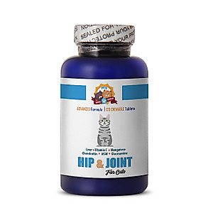 PETS HEALTH SOLUTION cat Joint Pain Relief - Hip and Joint for Cats - Premium Formula - Treats - cat Liver Support - 120 Chews (1 Bottle)