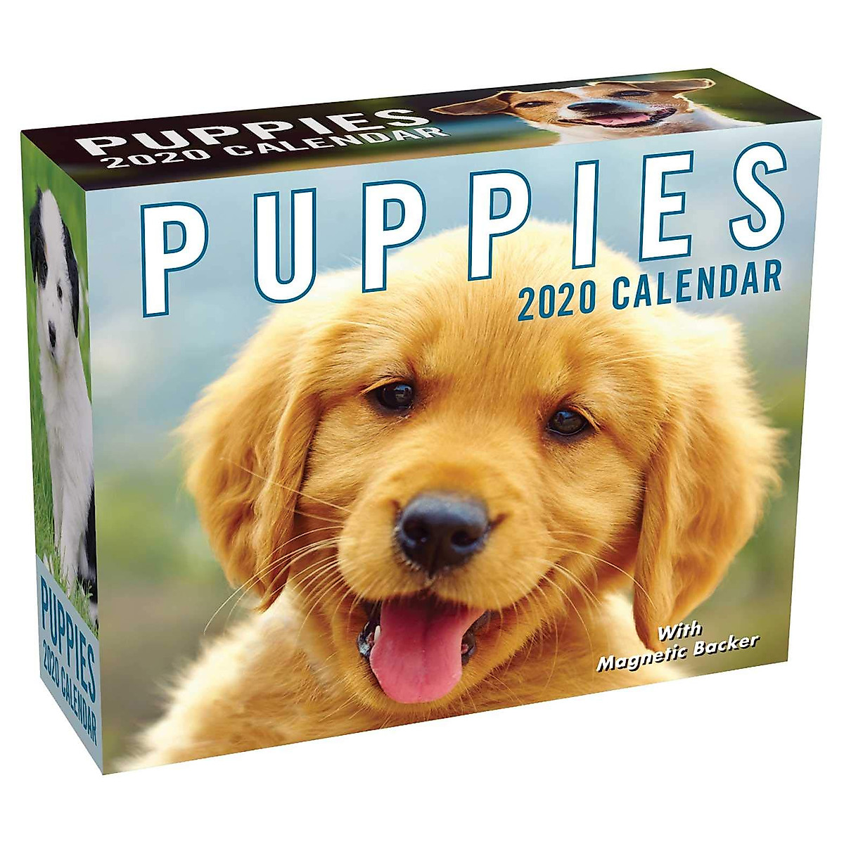 Puppies 2020 Mini Day-to-Day Calendar