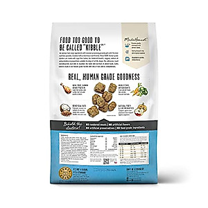 The Honest Kitchen Whole Food Clusters Grain Free Turkey Dry Dog Food, 20 lb Bag