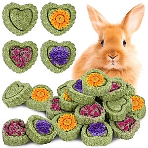 SYWHXY 20PCS Bunny Chew Toys, Rabbit Toys for Bunny's Teeth Organic Timothy Hay Cakes for Rabbits, Chinchilla, Hamster, Guinea Pig Reliable Rabbit Chew Toys for Teeth