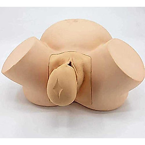 WFZY Demonstration Female Childbirth Manikin Advanced Midwifery Training Model Obstetrics and Gynecology Delivery Maternity Simulator for Nursing Medical Teaching