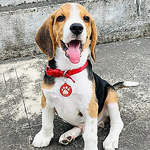 MYLUCKYTAG NFC & QR Code Smart Pet ID Tag Personalized Dog Cat Tag, Online Pet Profile, Pet Location Alert Email, Digital Pet Tag, Quiet Pet Tag, Durable Pet ID, Dog Collar Tag