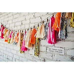Binpeng 9.8in Blue Tissue Paper Tassel DIY Hanging paper decorations Party Garland Decor for Party Decorations Wedding,Festival,Baby Shower Decoration 20PCS25cm