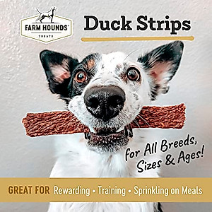 Farm Hounds Premium Natural Duck Treats for Dogs, 100% Made from Humanely-Raised Ducks, No Fillers Added, Nutrient-Rich Duck Jerky Dog Treats, Healthy Delicious Dog Strips, Made in USA