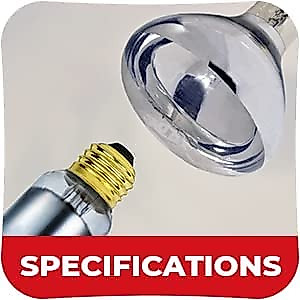 BULBMASTER 250 Watt Heat lamp Bulb for Bathroom R40 Incandescent Shower Heat Lamp Clear Infrared Bath Light 250R40 Chicken Light Bulb E26 Base 2 Pack