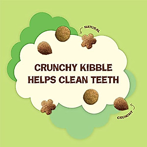 Aurora Pet Variety Pack (4) Friskies Party Mix Natural YUMS Cat Treats (Chicken, Salmon, Tuna and Catnip) 6-oz Each with AuroraPet Wipes