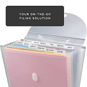 Advantus Expandable Paper Organizer, Accordion File Organizer, Important Document Holder, Clear with 12 Pockets, White, 12x12 Inches
