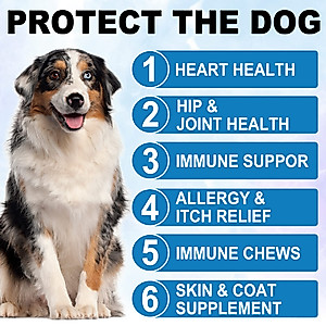 Dog Allergy Relief Chews, Dog Allergy Chews (150 Count), Itch Relief for Dogs, Omega 3 Fish Oil + Pumpkin Enzymes + DHA for Dogs, Anti Hot Spots + Seasonal Allergies, Skin & Coat Immune Health