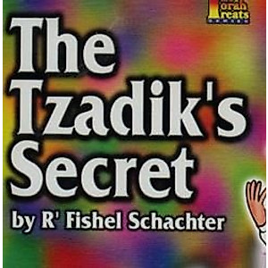 The Tzaddik's Secret CD