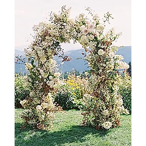 Wedding Arch Backdrop Stand,Gold Metal Door Arched Backdrop Frame Arches Backdrop Stand for Wedding Birthday Graduation Anniversary Celebration Opening Ceremony(6x2.6FT)