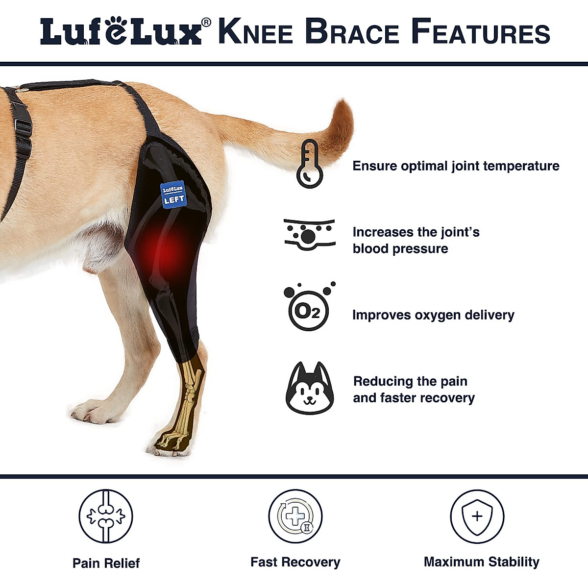 LufeLux Dog Knee Brace with Harness and Connection Belt, Lightweight and Stretchable, Support for Torn ACL Hind Leg, Luxating Patella, Reduces Arthritis Pain and Inflammation (X-Small)