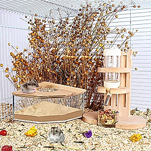 Chngeary Hamster Sand Bath Box Large, Transparent Acrylic Sand Bath Container & Hamster Bathroom, House and Accessories for Hamsters Gerbils Lemming…(Sector)