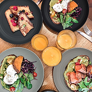 Wrova Wheat Straw Plates - 9 Inch Unbreakable Dinner Plates Set of 8 - Dishwasher & Microwave Safe Plastic Plates Reusable - Lightweight Plates for kitchen,camping (Classic Series)