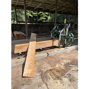 Wild Black Cherry Cutting Board/Charcuterie Platter. Handmade in Michigan USA from local trees. No Glue. No Seams. 9.4” x 14.4” x 0.25” (Black Cherry, 14.4" x 9.4" x 1/4")