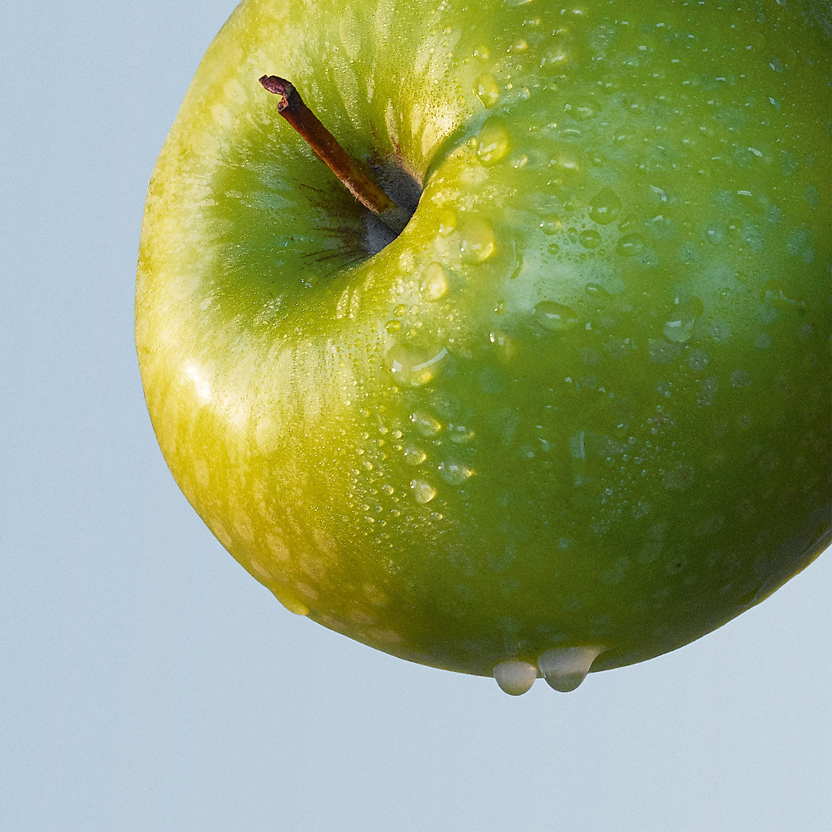 Hugo Boss BOTTLED TONIC Eau de Toilette, 1.6 Fl Oz