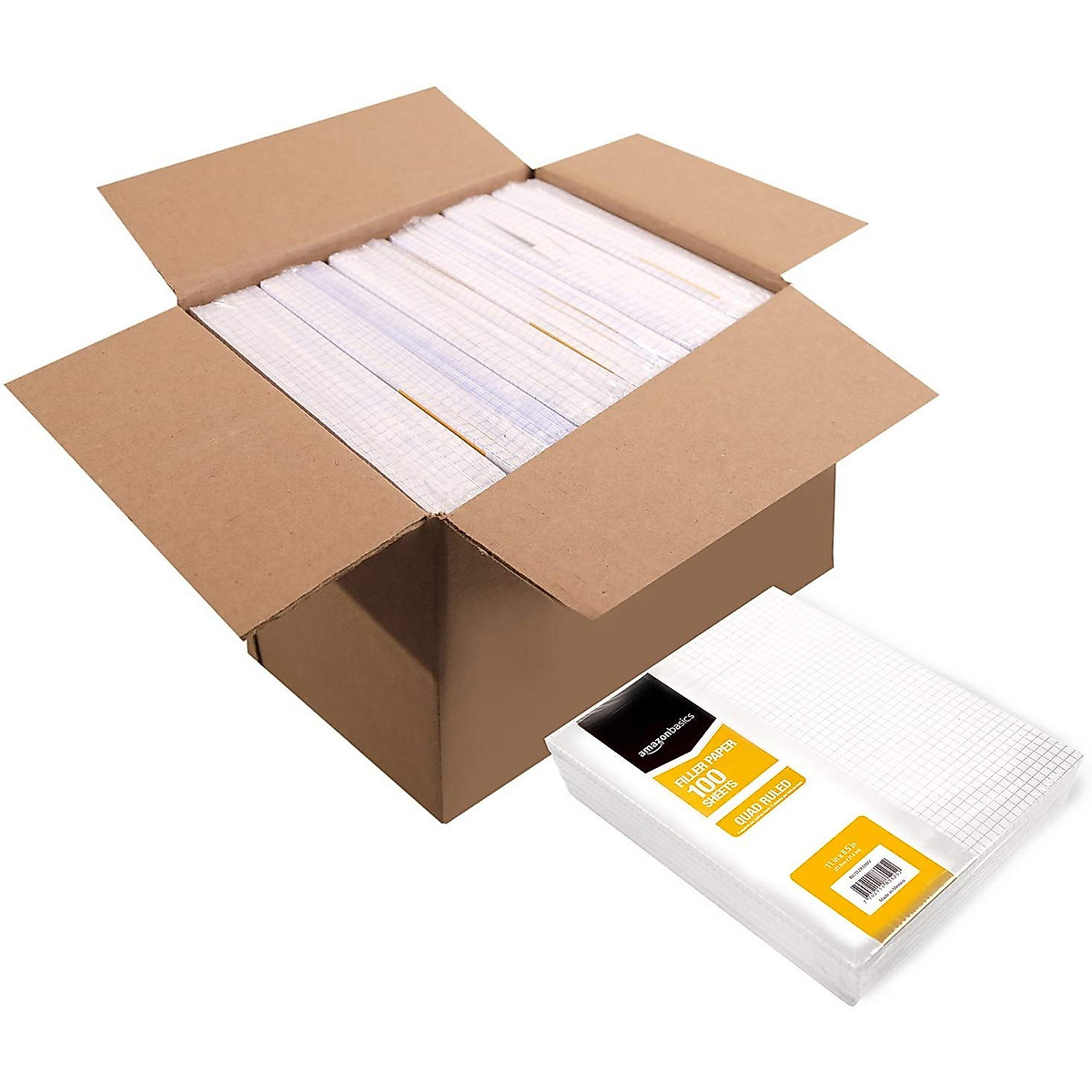Amazon Basics Graph Ruled Loose Leaf Filler Paper, 100 Sheet, 11 x 8.5 Inch, Pack of 6