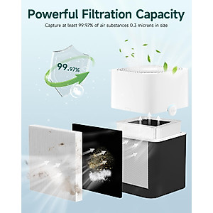 211+ Replacement Filter for Blue Pure 211+ Air Purifier (Non-Auto), H13 True HEPA & Foldable Activated Carbon Filter