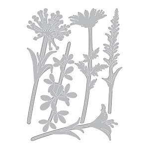 Sizzix Thinlits Die Set , Wildflower Stems #2 by Tim Holtz, 5 Pack, One Size, Multicolor 5 Piece