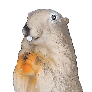 Groundhog Small Ornaments, Cute Animal Model Ornaments Micro Landscape Props Bonsai Ornaments Resin Crafts Suitable for Outdoor Garden