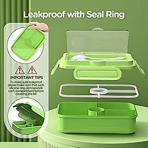 DaCool Kids' Bento Box Toddler Lunch Box for Kids 7.5 Cup 4-Compartment Leakproof with Fork Spoon School Lunch Containers for Meal Snack, Microwave & Dishwasher Safe, BPA Free, Green